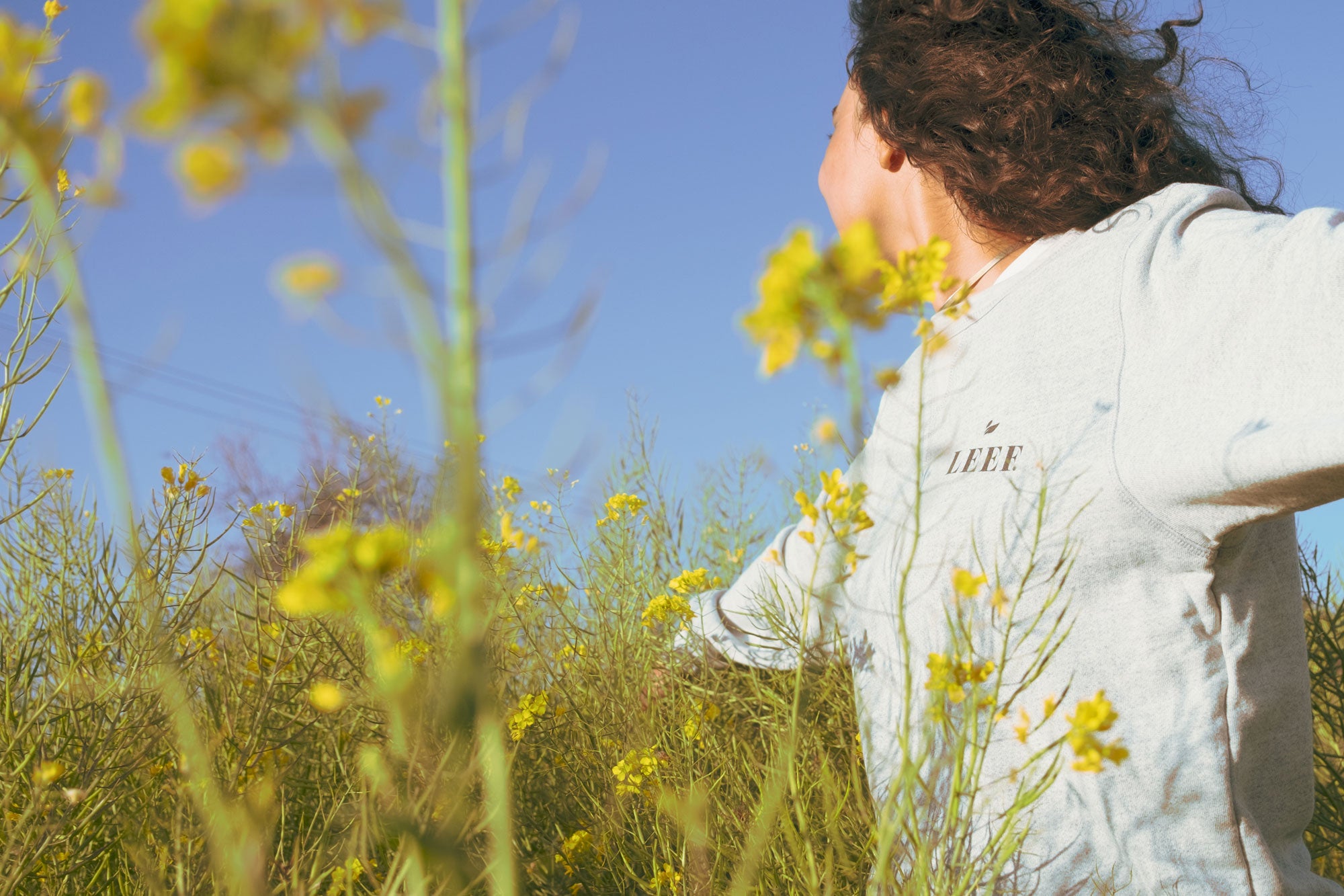 Buy Whole Plant CBD Products | LEEF Organics